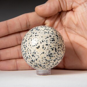 Genuine Polished Dalmation Jasper Sphere (1.75") With Acrylic Display ...