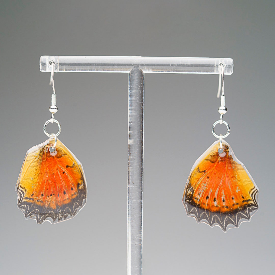 Genuine Butterfly red Lacewing Wing Earrings - Etsy