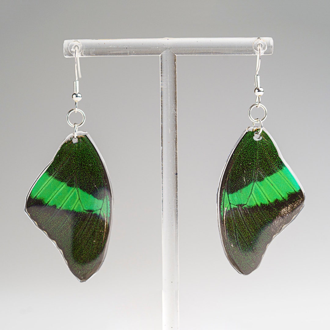 Genuine Butterfly emerald Swallowtail Wing Earrings - Etsy