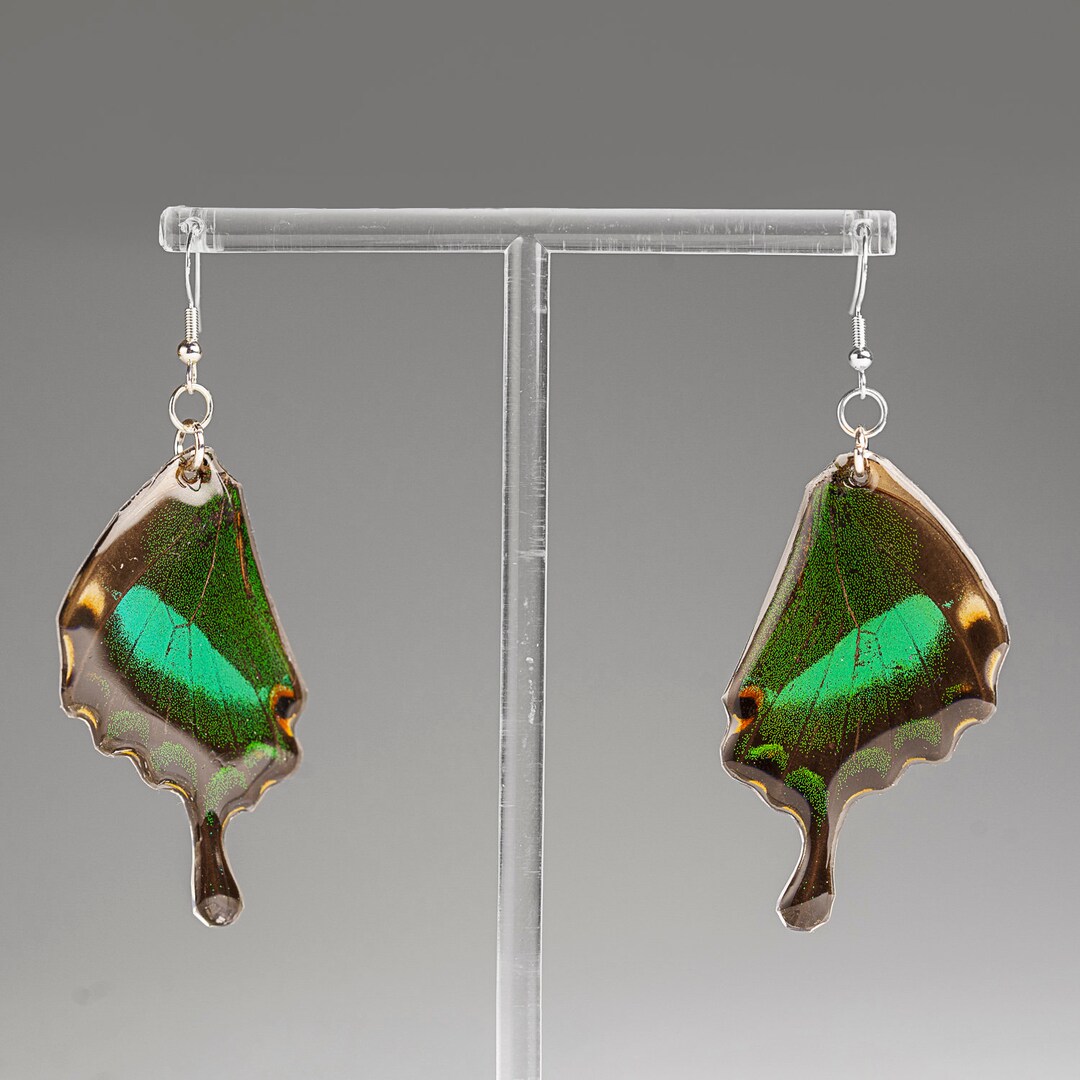 Genuine Butterfly emerald Swallowtail Wing Earrings - Etsy