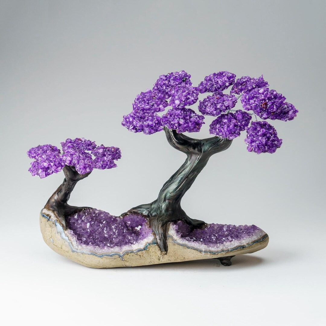 Custom - Two Genuine Amethyst Clustered Gemstone Trees on Amethyst ...