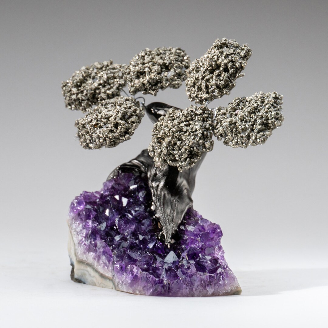 Small Pyrite Clustered Gemstone Tree on Amethyst Matrix tree of ...