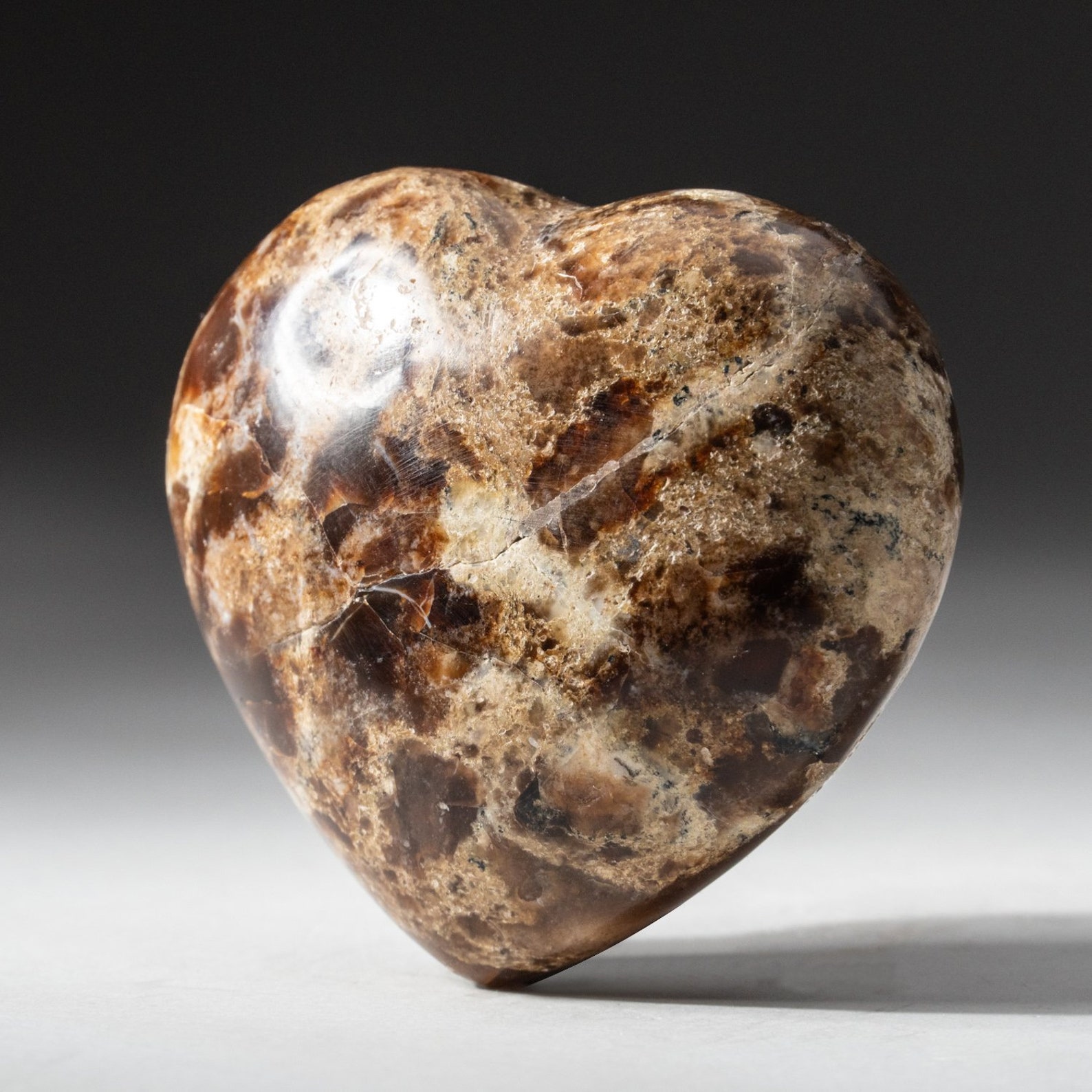 Polished Brown Petrified Wood Heart From Madagascar (350 Grams) - Etsy