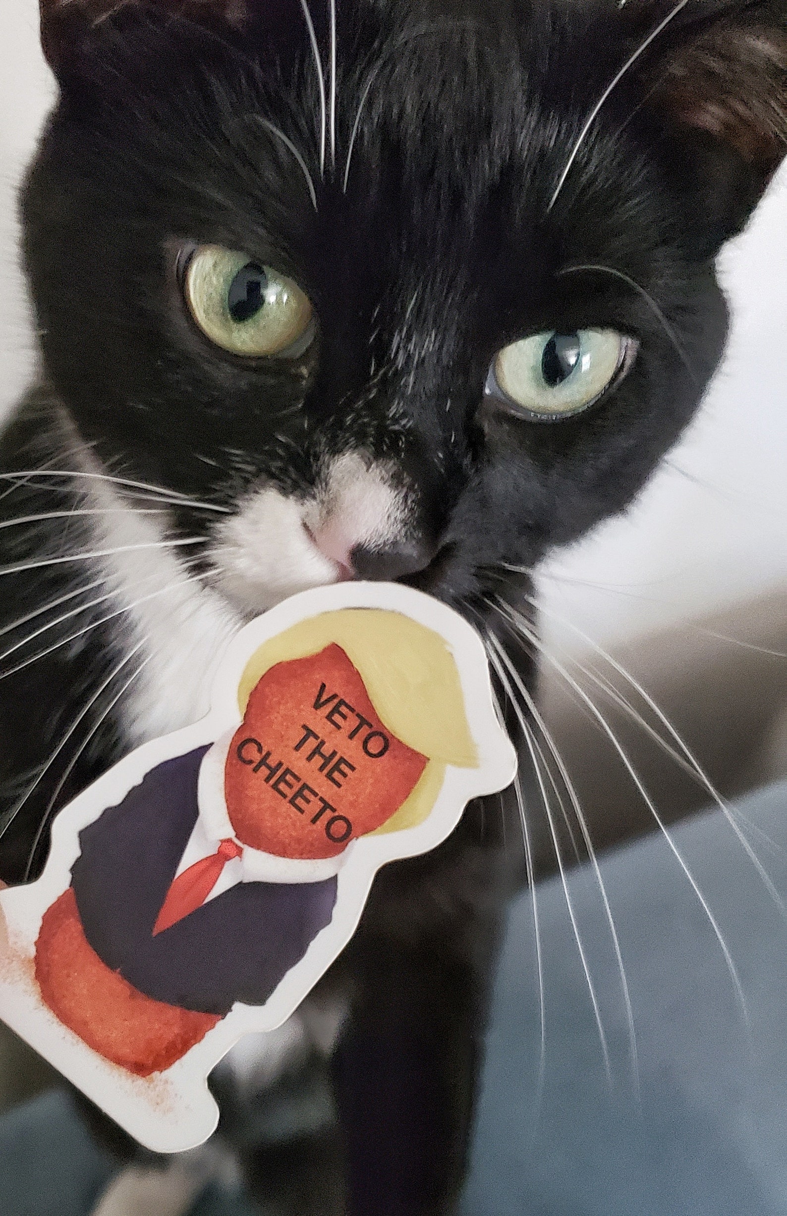 Limited Edition VETO THE CHEETO Face “forgotten Cheeto” 3 Inch, Die Cut ...