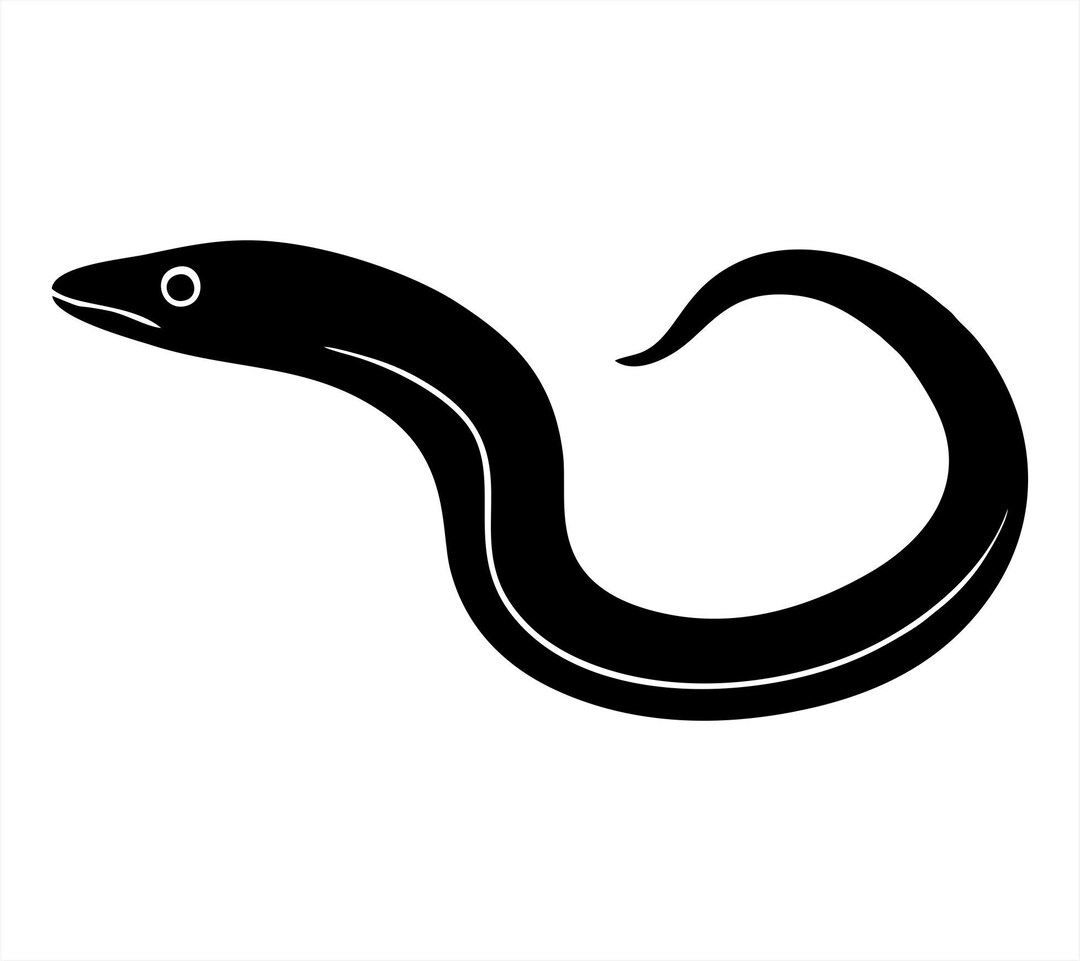 Eel Vinyl Decal Sticker Wall Door Window Car Van Bike Lorry Home ...