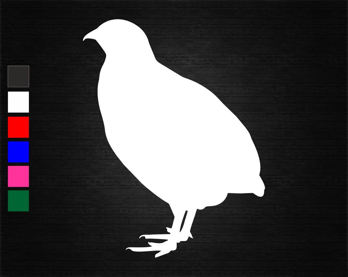 Quail Vinyl Decal Sticker Wall Door Window Car Van Bike Lorry - Etsy