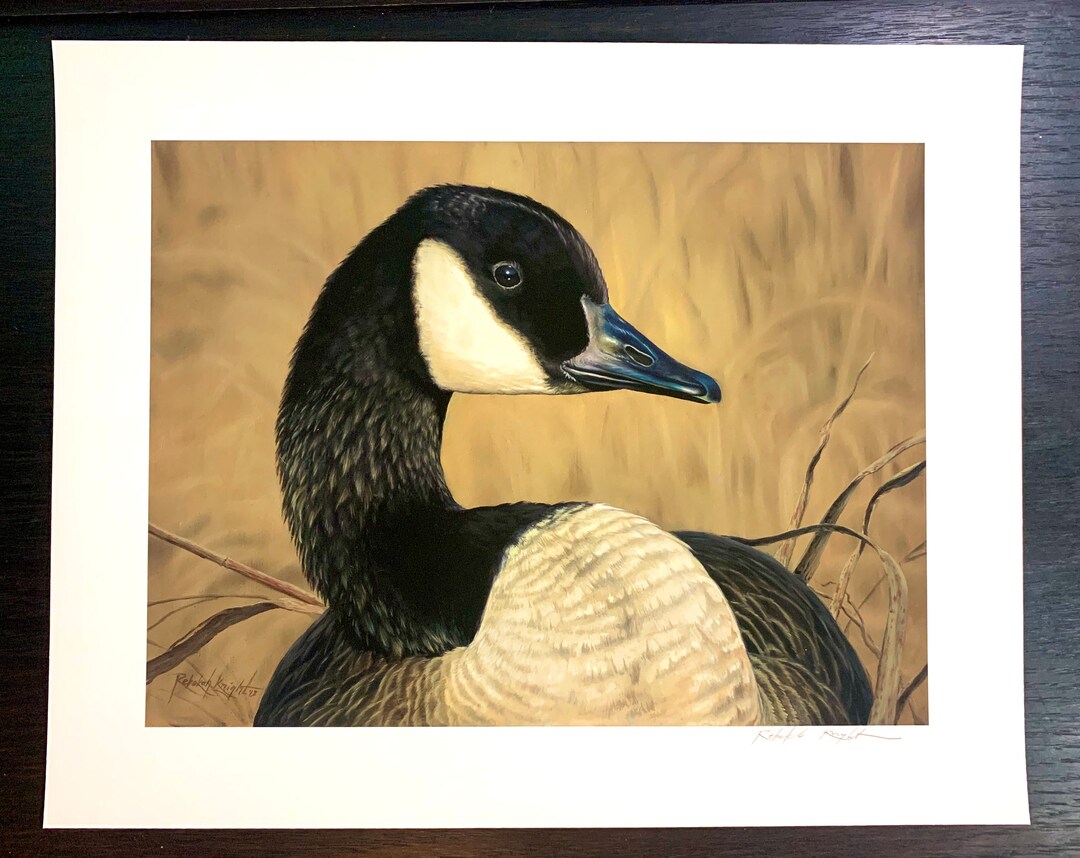 Canada Goose Portrait Limited Edition Fine Art Giclée Print by Rebekah ...