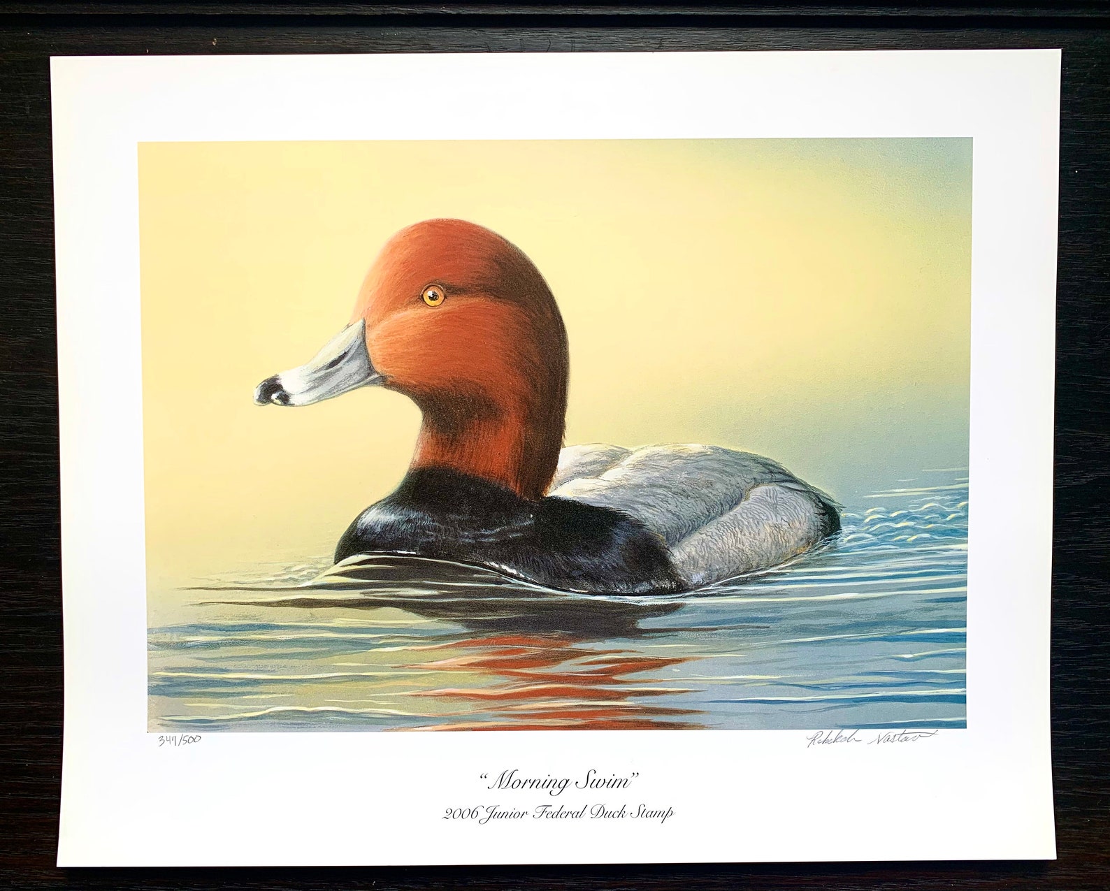 Collectible Federal Junior Duck Stamp 2006 Winning Artwork Limited ...
