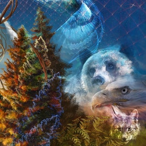 LIMITED EDITION Shaman Fine Art Paper Print "vibrations of Nature" by ...