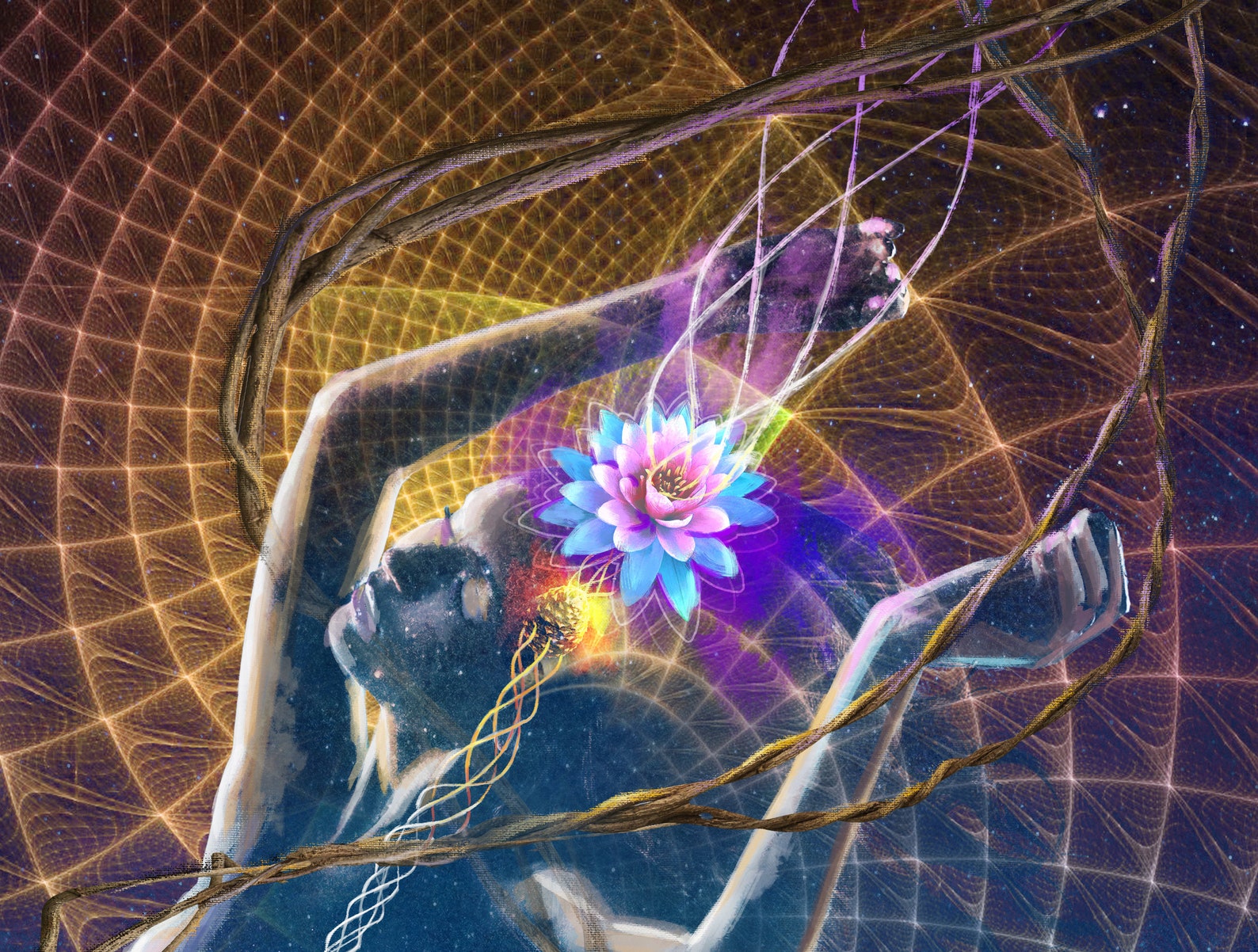 Shamanic Visionary Art Energy Flow Canvas Print - Inner Galaxy and ...