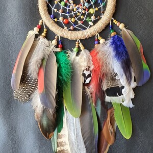 Native American Gift Authentic Dream Catcher Wooden Hoops and Natural ...