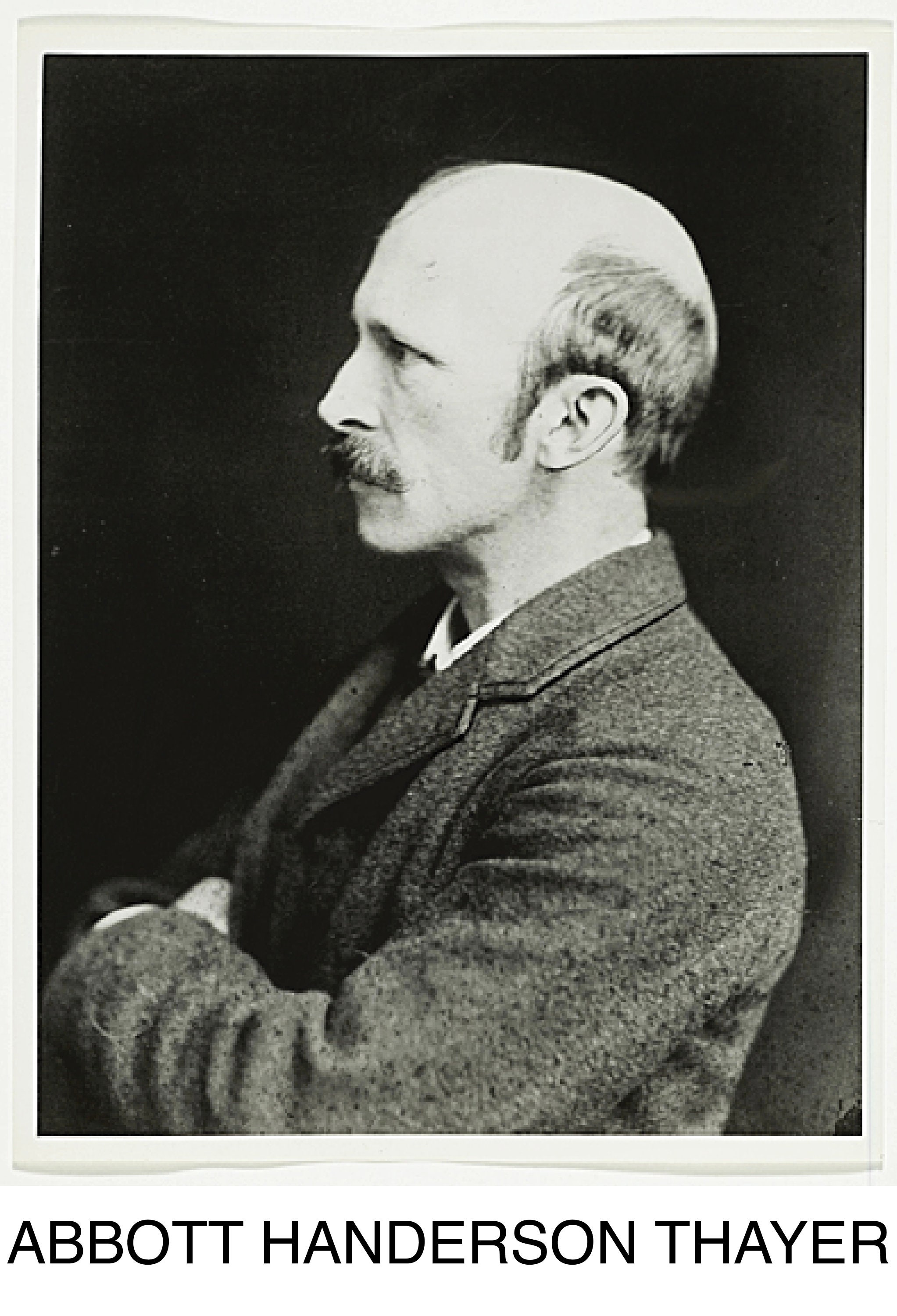 1887 Abbott Handerson Thayer Angel Painting Print Original Digital ...