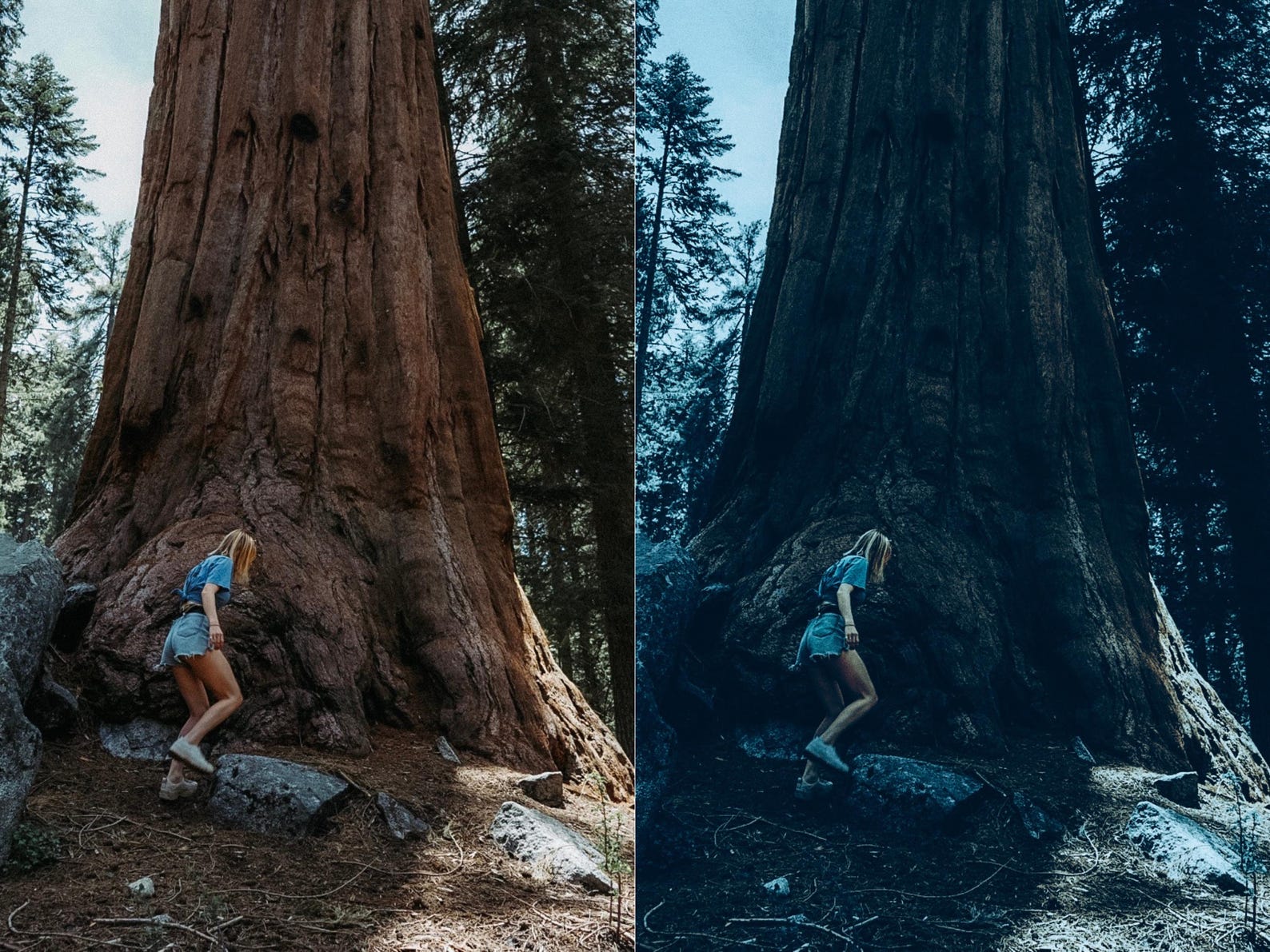 Twilight Presets & Luts: Moody Blue Color Grading (DNG, XMP, .cube) - Etsy