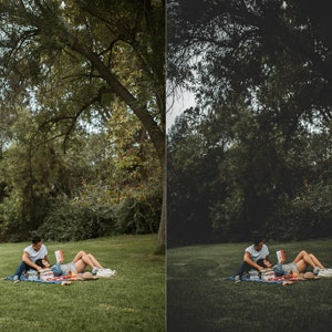 15 Moody Green Presets & Luts Pack Bundle | Color Grading for Moody ...
