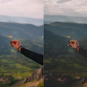 15 Moody Green Presets & Luts Pack Bundle | Color Grading for Moody ...