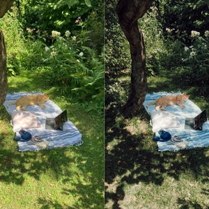 15 Earthy Tones Presets & Luts Pack Bundle | Color Grading for Moody ...