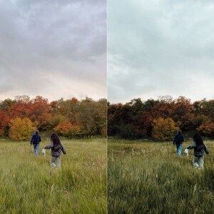 15 Earthy Tones Presets & Luts Pack Bundle | Color Grading for Moody ...