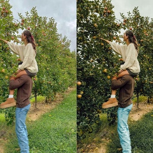 15 Earthy Tones Presets & Luts Pack Bundle | Color Grading for Moody ...