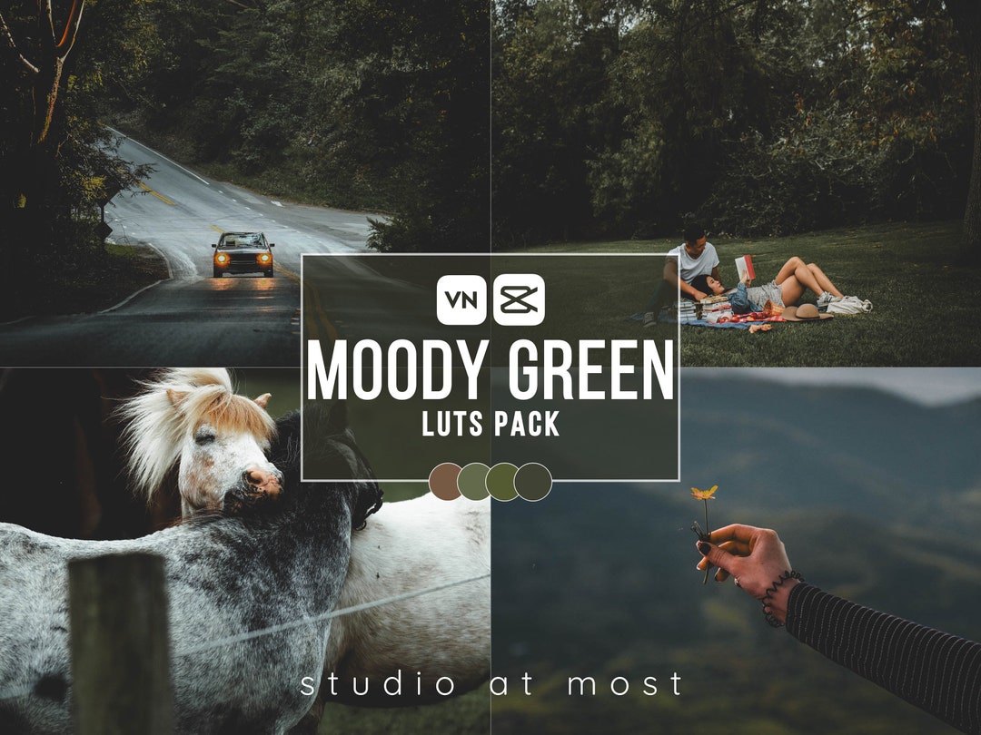15 Moody Green Luts: Video Color Grading Presets - Etsy