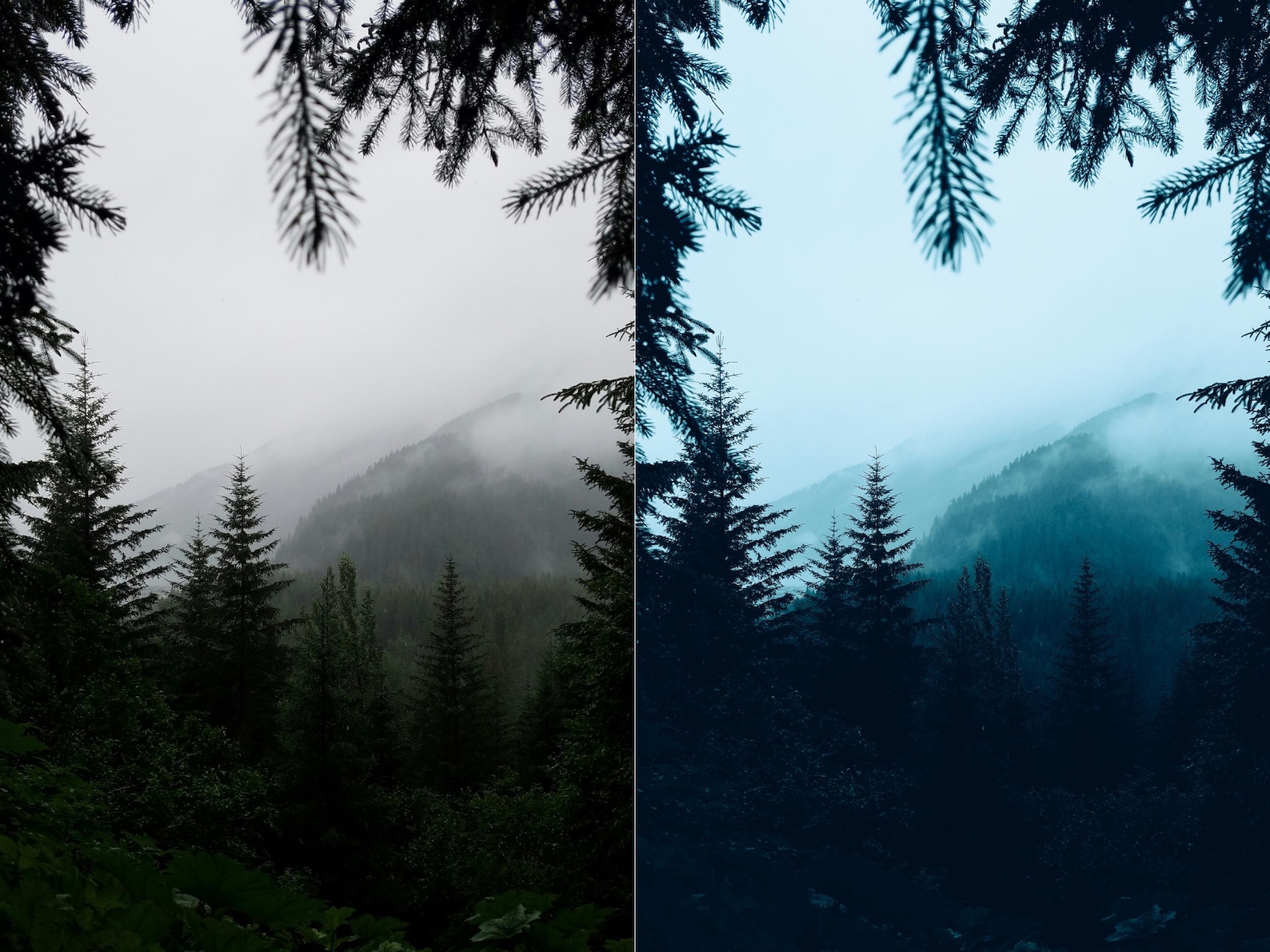 15 Twilight Luts Pack Color Grading for Blue Tint Look, Dark Blue Video ...