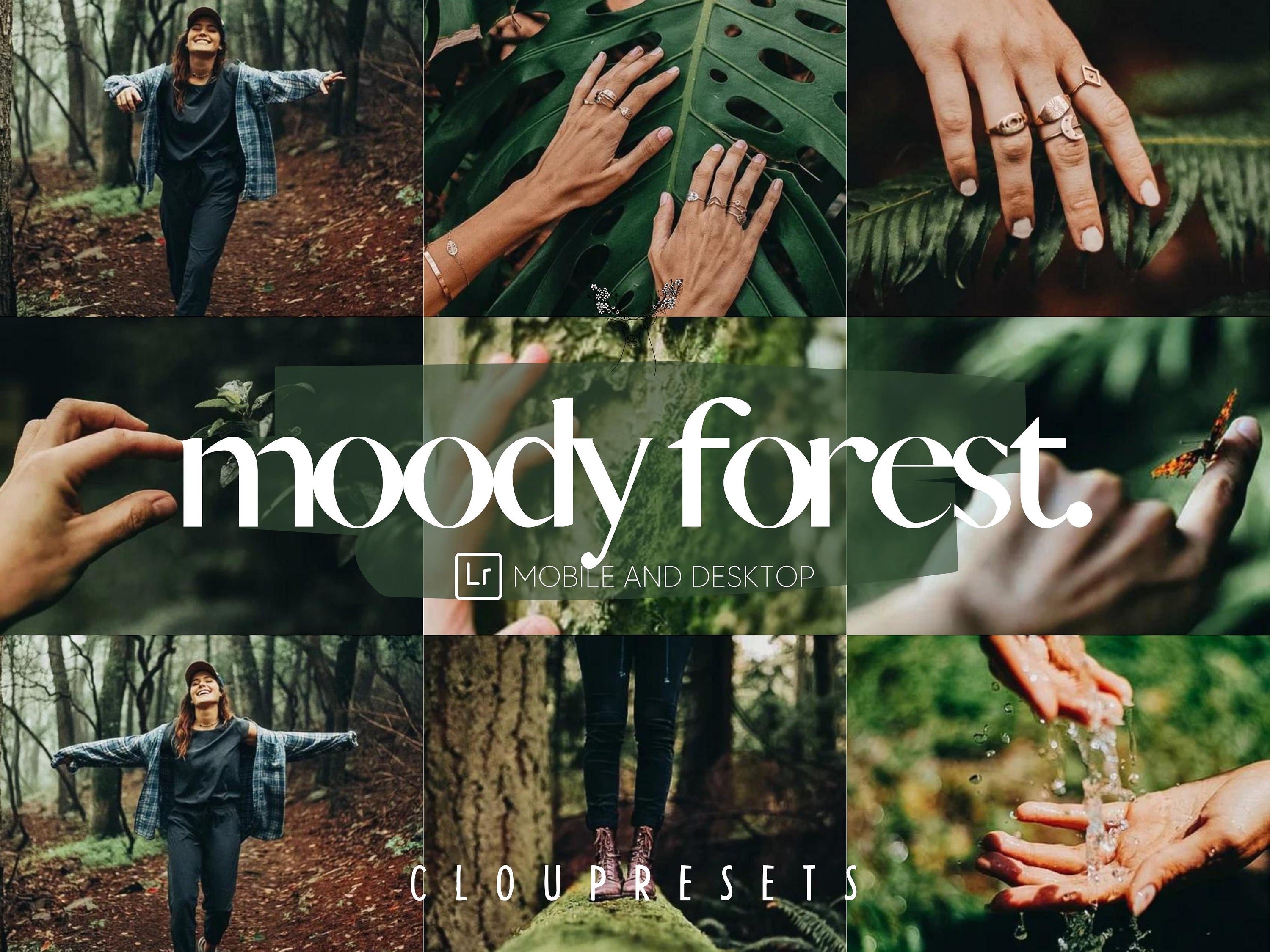 Moody Forest Lightroom Presets for Mobile Desktop, Dark Moody Filter ...
