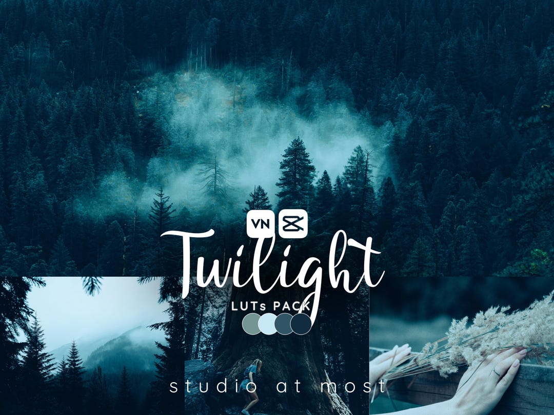 15 Twilight Luts Pack | Color Grading for Blue Tint Look, Dark Blue ...