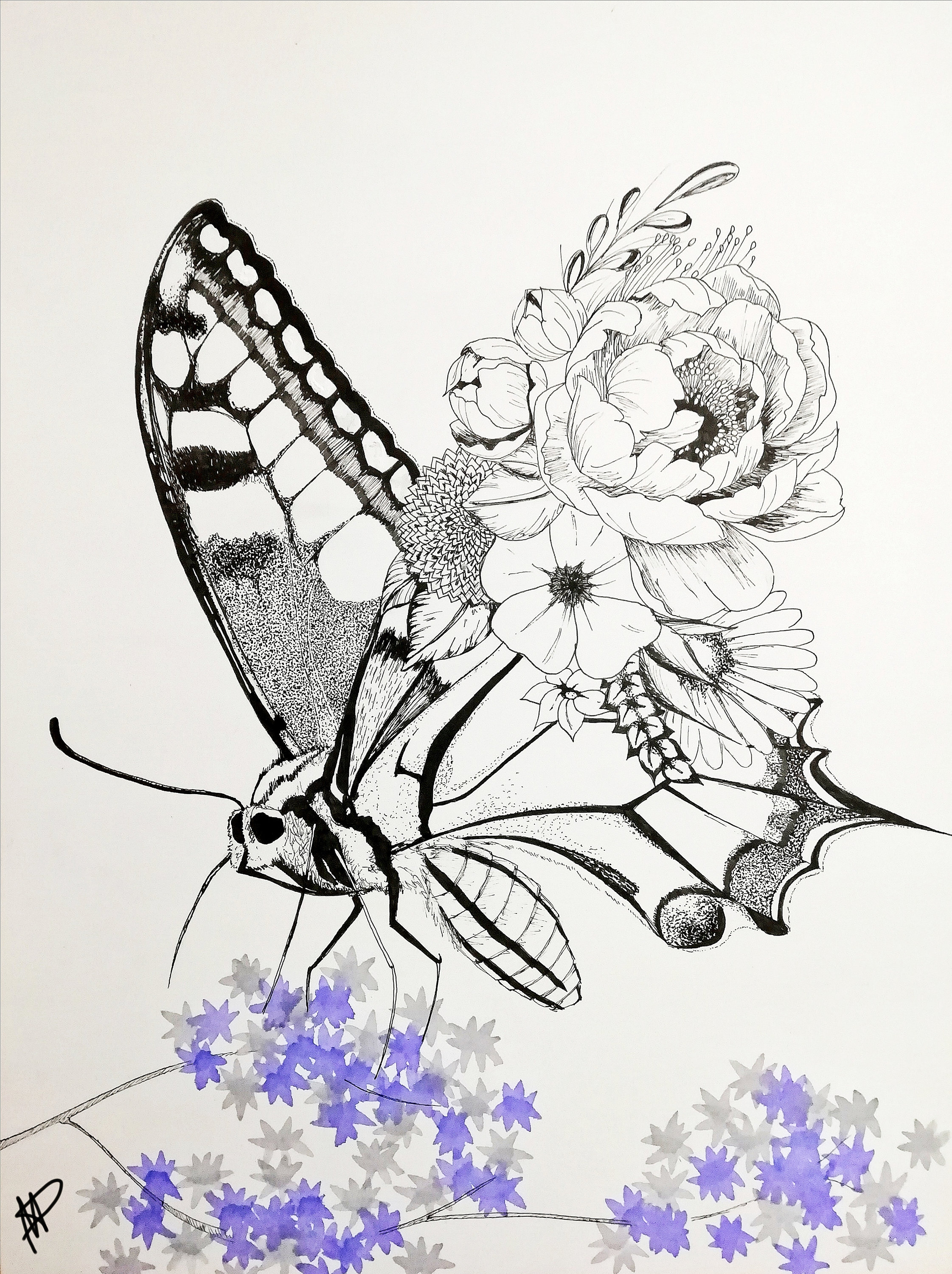 Butterfly On Flower Sketch