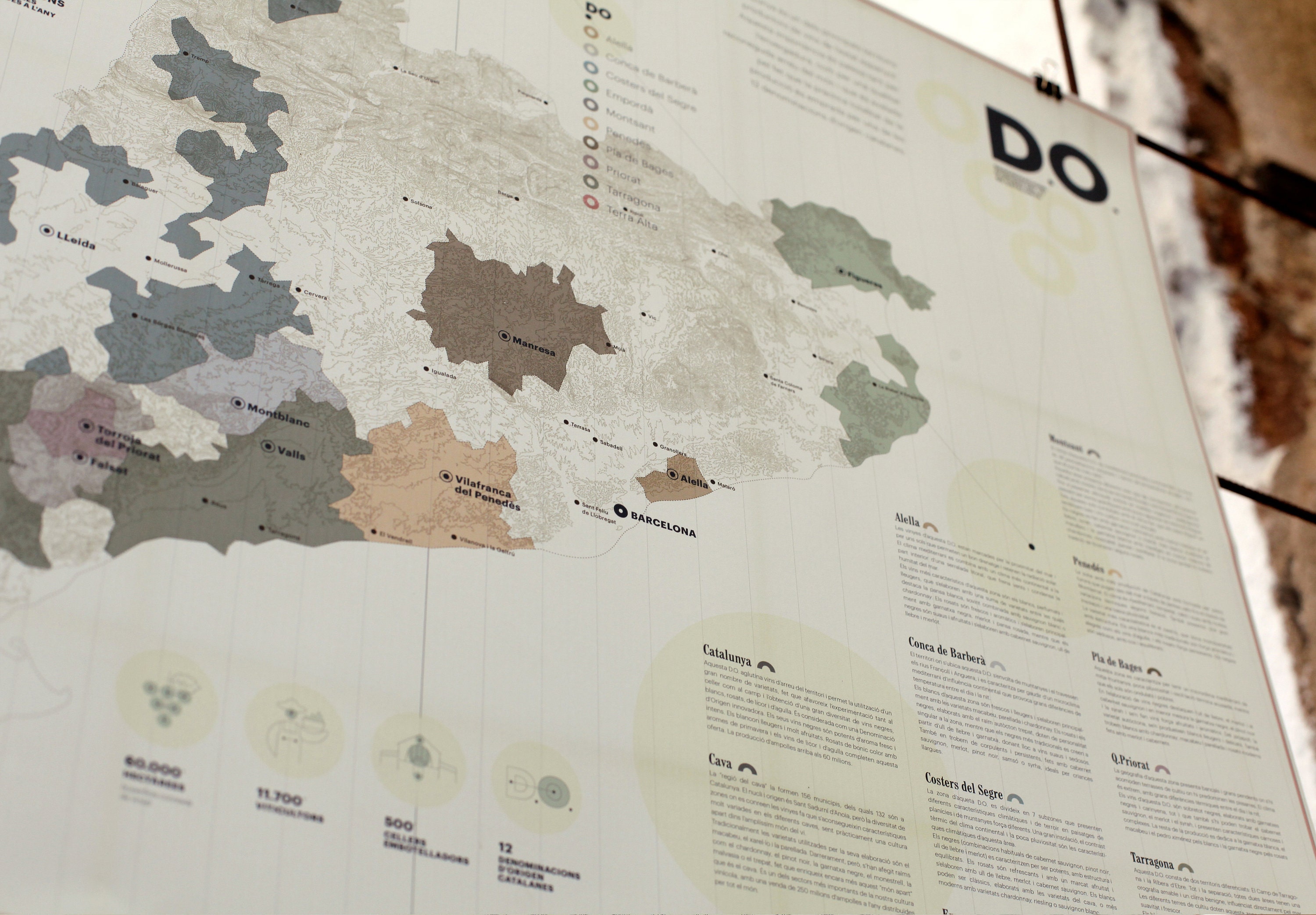 DO Catalunya Wine Infographic Map Map of Catalonia Wine Regions - Etsy