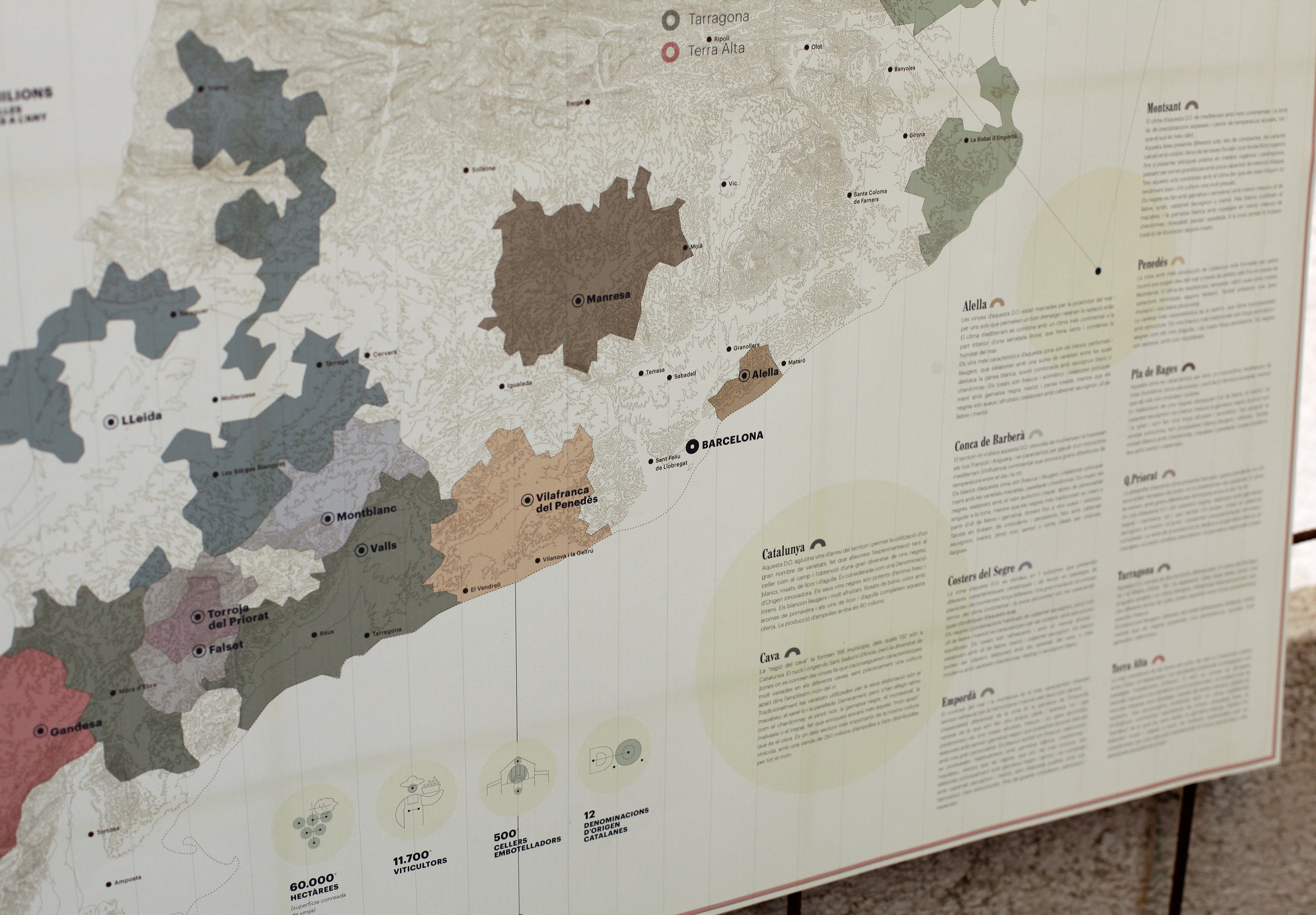 DO Catalunya Wine Infographic Map | Map of Catalonia Wine Regions - Etsy UK