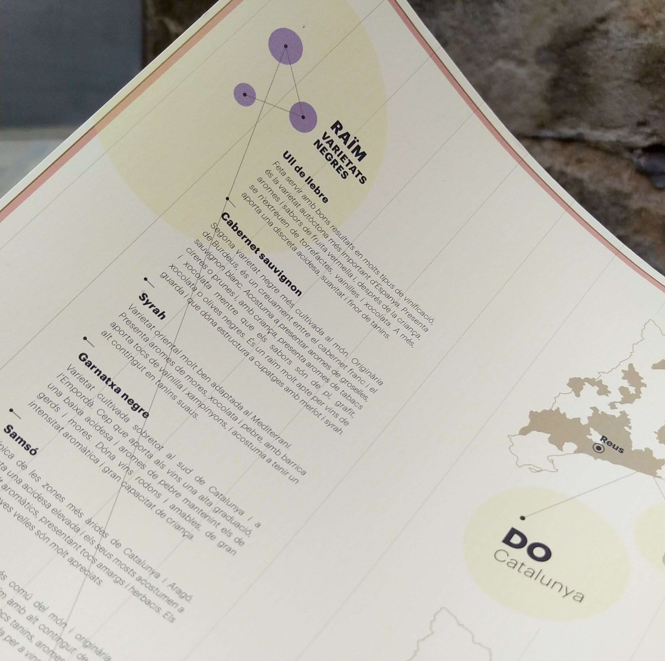 DO Catalunya Wine Infographic Map | Map of Catalonia Wine Regions - Etsy UK