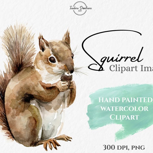 Watercolor Squirrel Clipart Hand Painted Forest Animal - Etsy