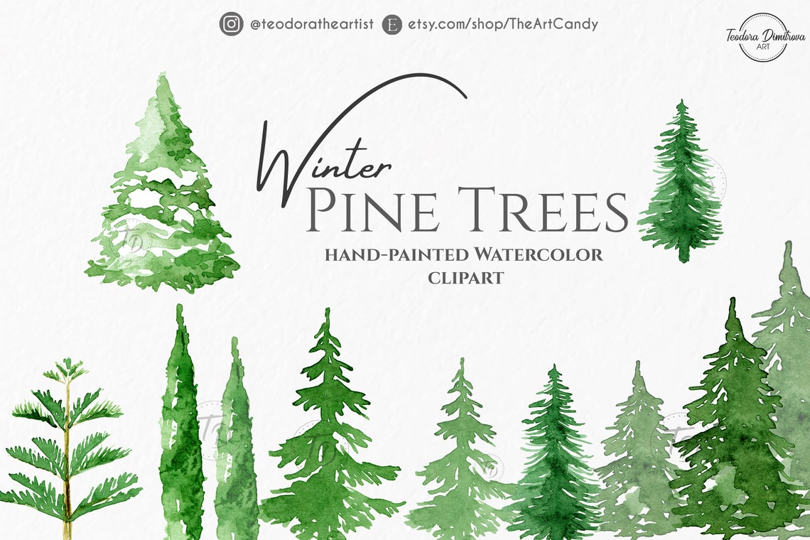 Winter Trees Watercolor Clipart Christmas Clipart PNG PINE - Etsy