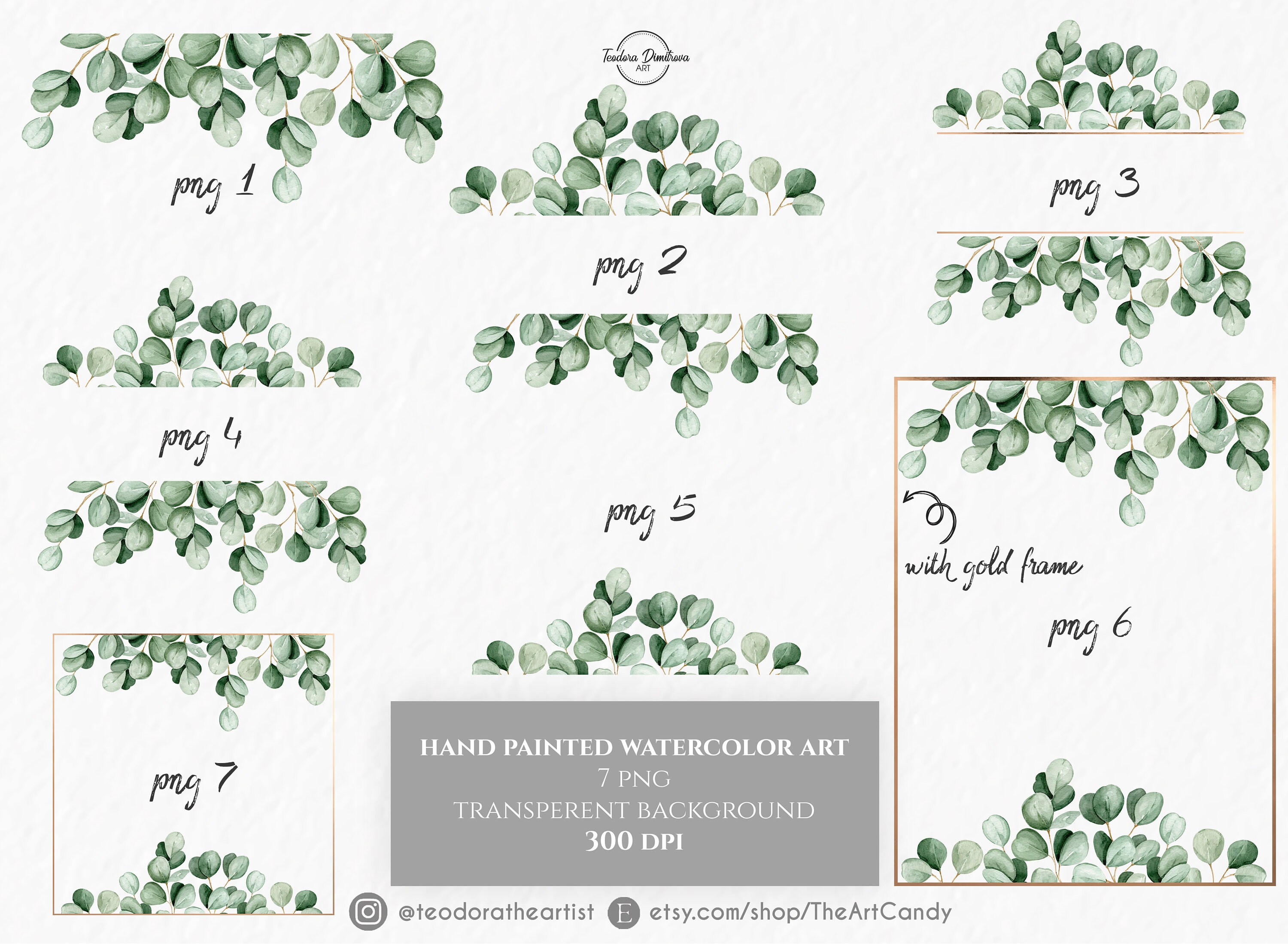 Watercolor Eucalyptus Frames and Borders Clipart PNG | Hand Painted ...
