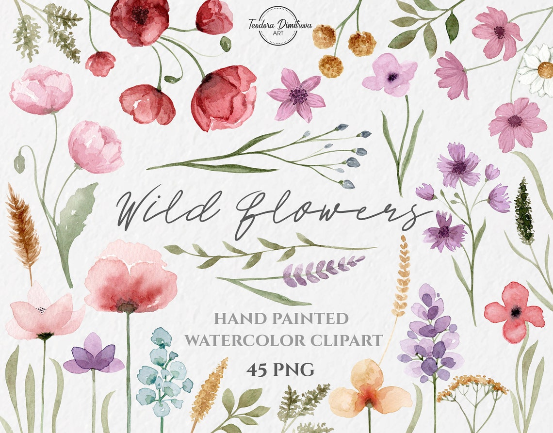 Watercolor Wildflower Floral Clipart Watercolor Flowers PNG - Etsy