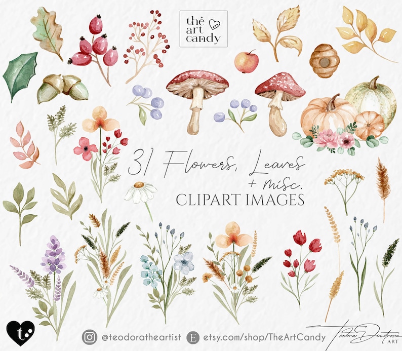 Woodland Animals Watercolor Clipart Bundle Forest Animals - Etsy