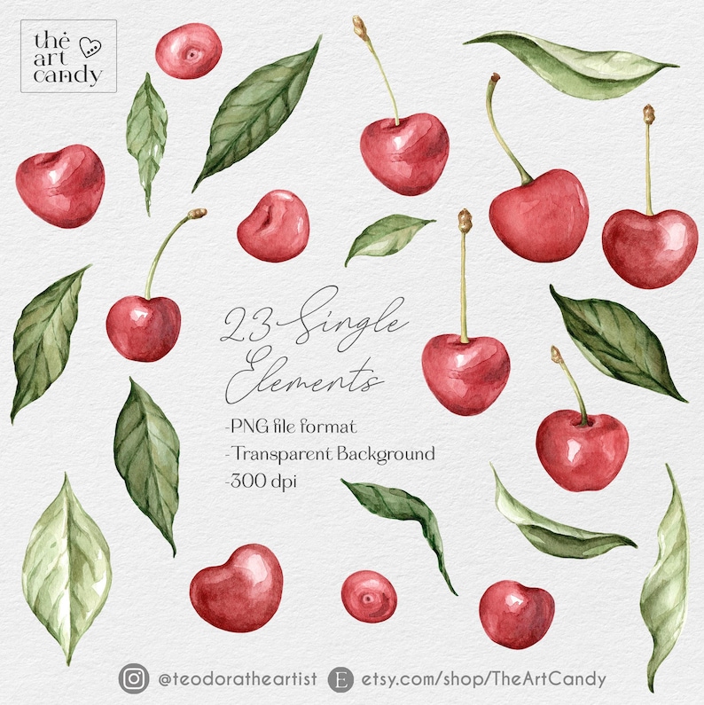 Hand Painted Cherry Watercolor Clipart Set | Hand Drawn Watercolor ...