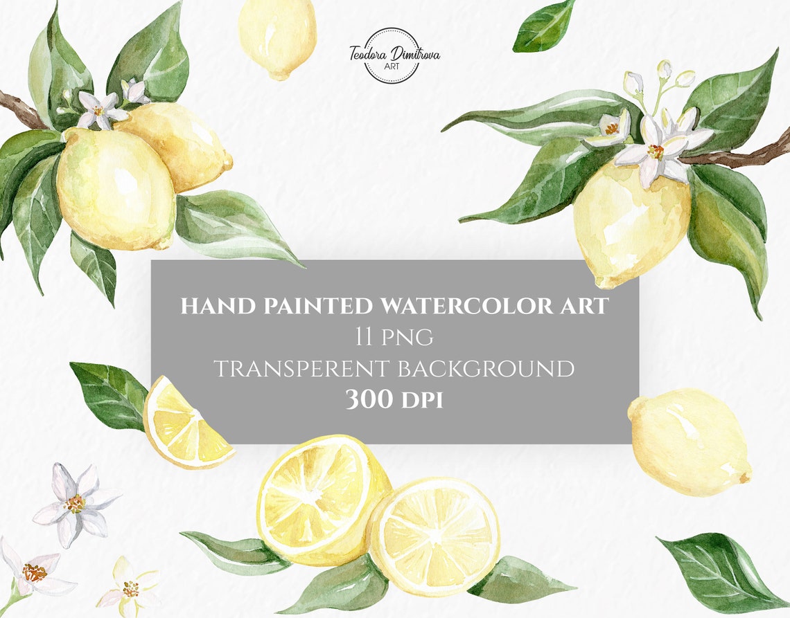 Lemon Tree Watercolor Clipart Set Hand Painted Watercolor | Etsy