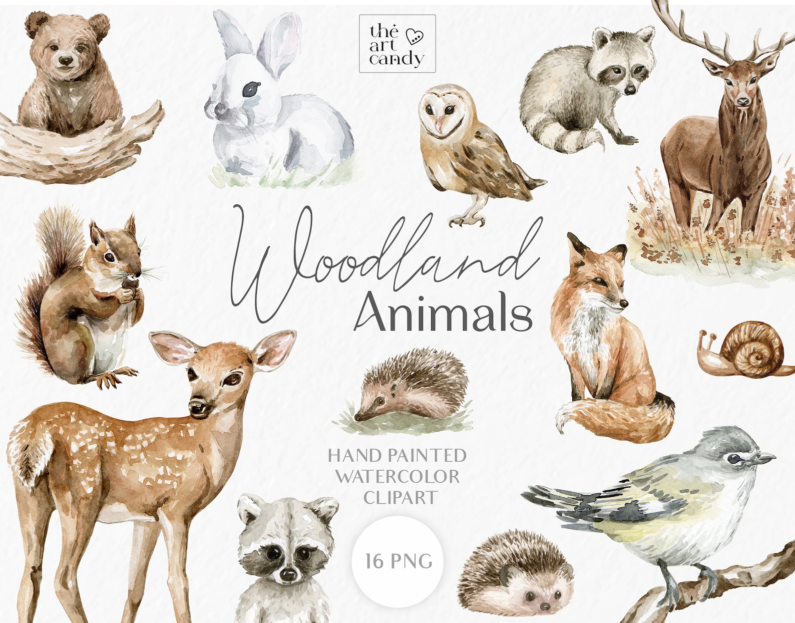 Woodland Animals Watercolor Clipart | Forest Animals PNG- Deer, Fox ...