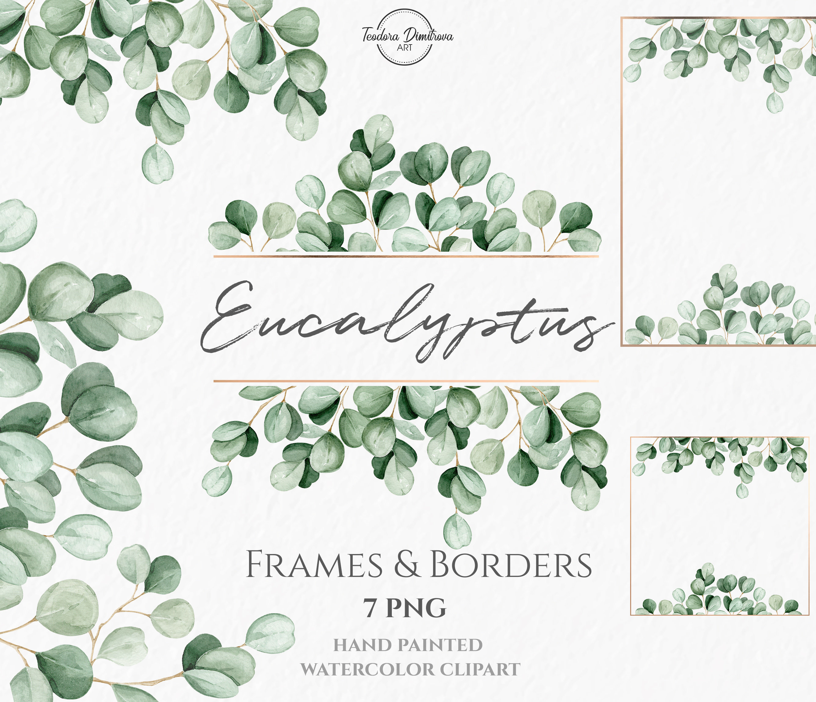 Watercolor Eucalyptus Frames and Borders Clipart PNG | Hand Painted ...