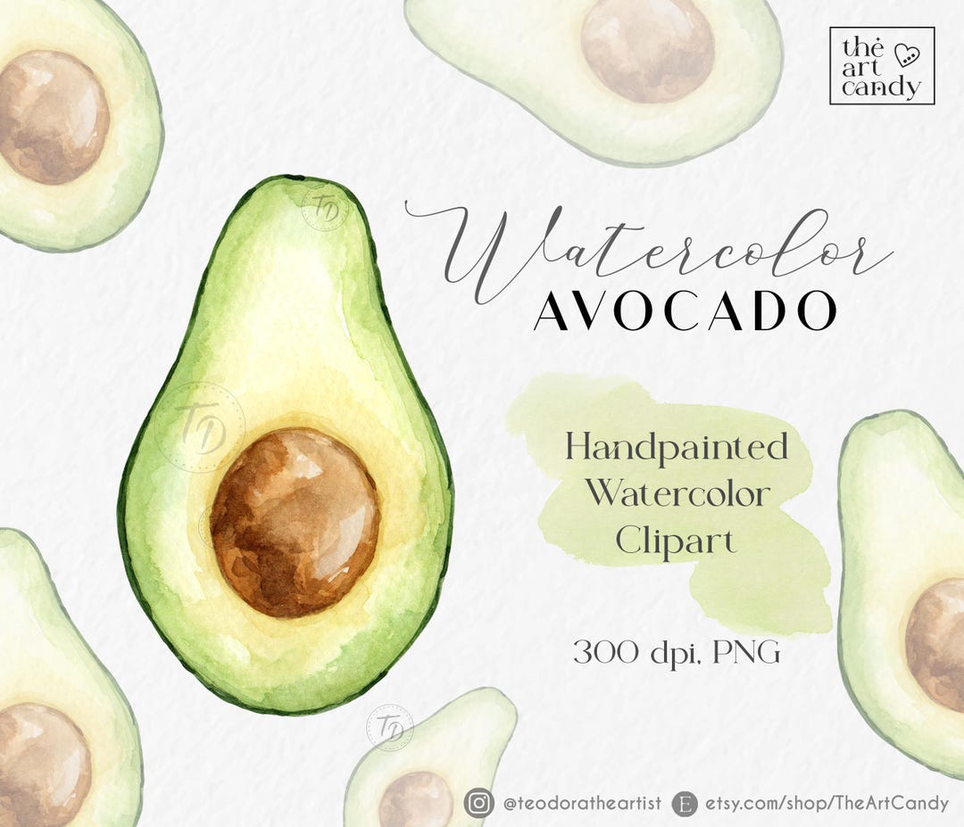 Hand Painted Watercolor Avocado Clipart PNG | Watercolor Fruit Clipart ...