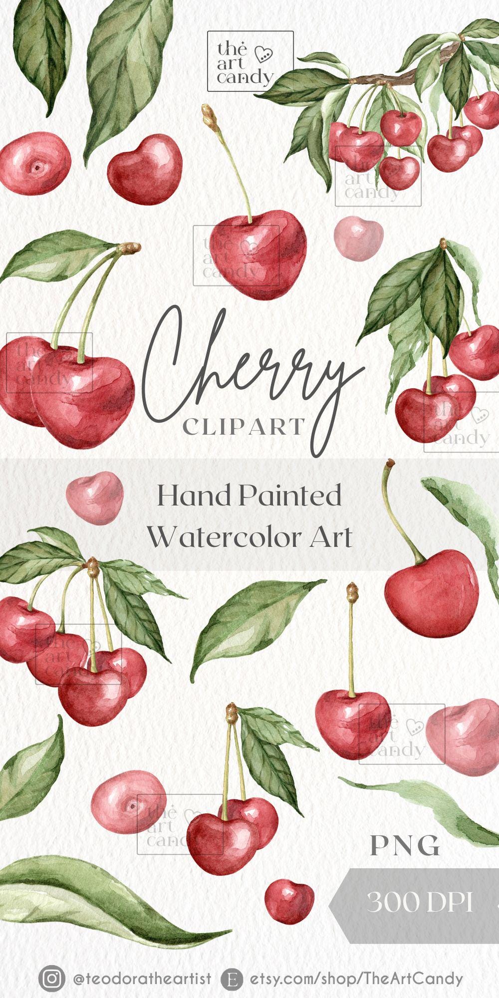 Hand Painted Cherry Watercolor Clipart Set | Hand Drawn Watercolor ...