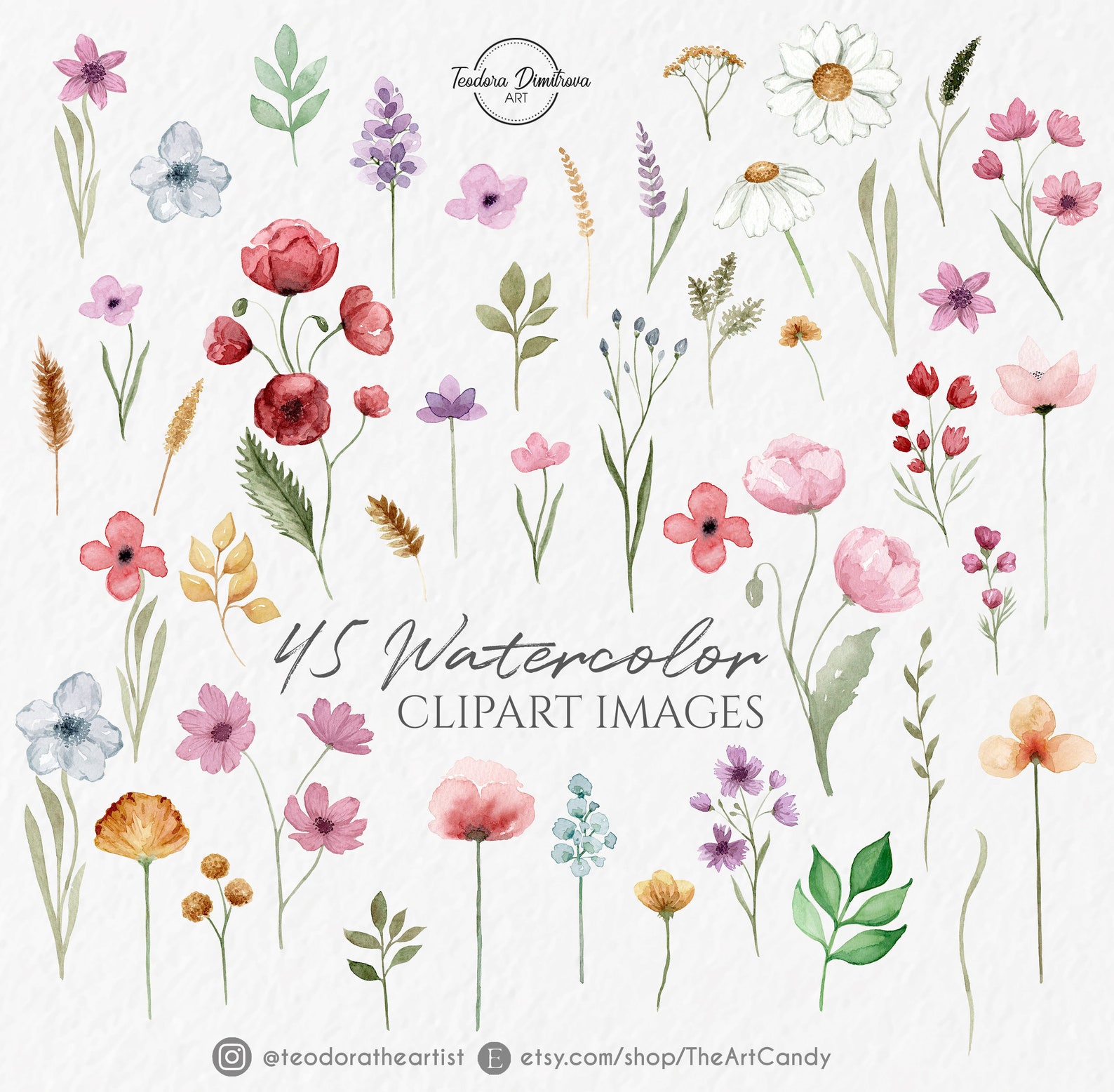 Watercolor Wildflower Floral Clipart Watercolor Flowers PNG - Etsy