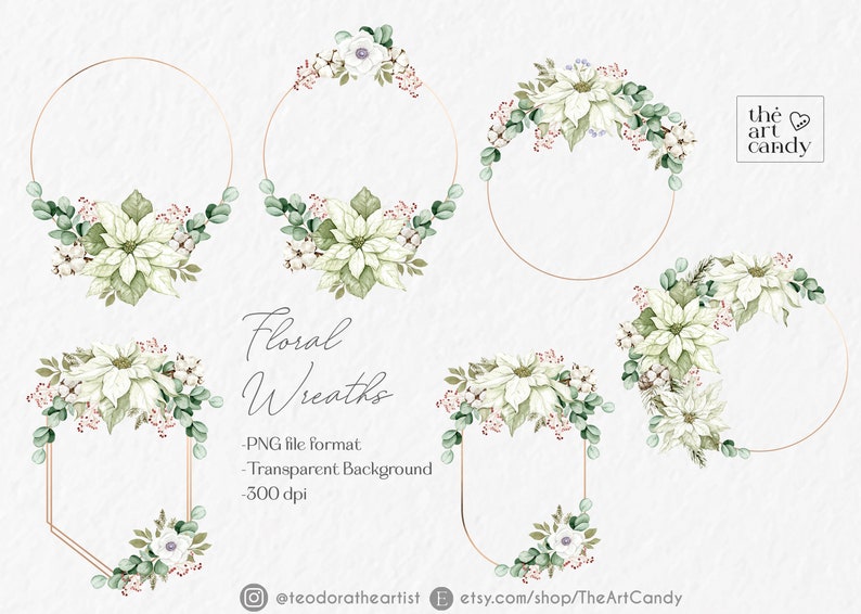 Watercolor White Poinsettia Clipart Set PNG | Christmas Wreaths, Frames ...