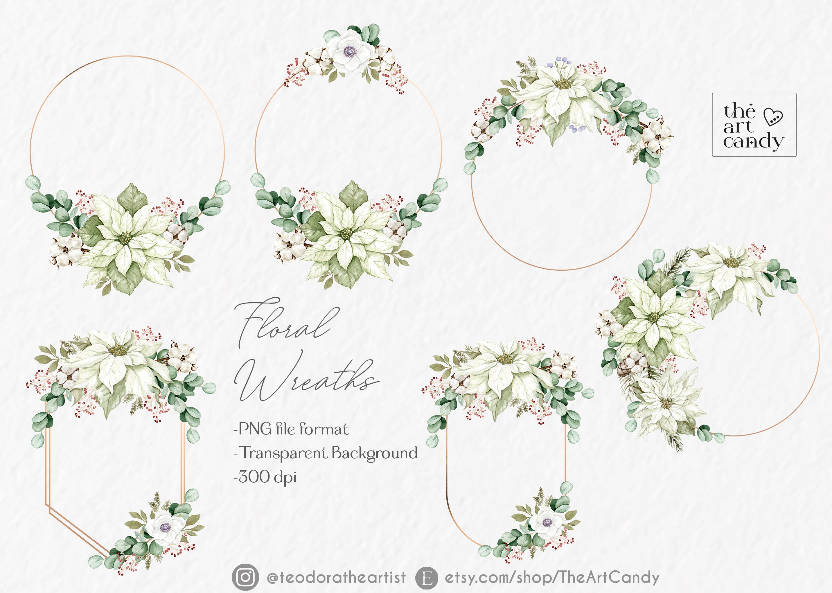 Watercolor White Poinsettia Clipart Set PNG Christmas Wreaths, Frames ...