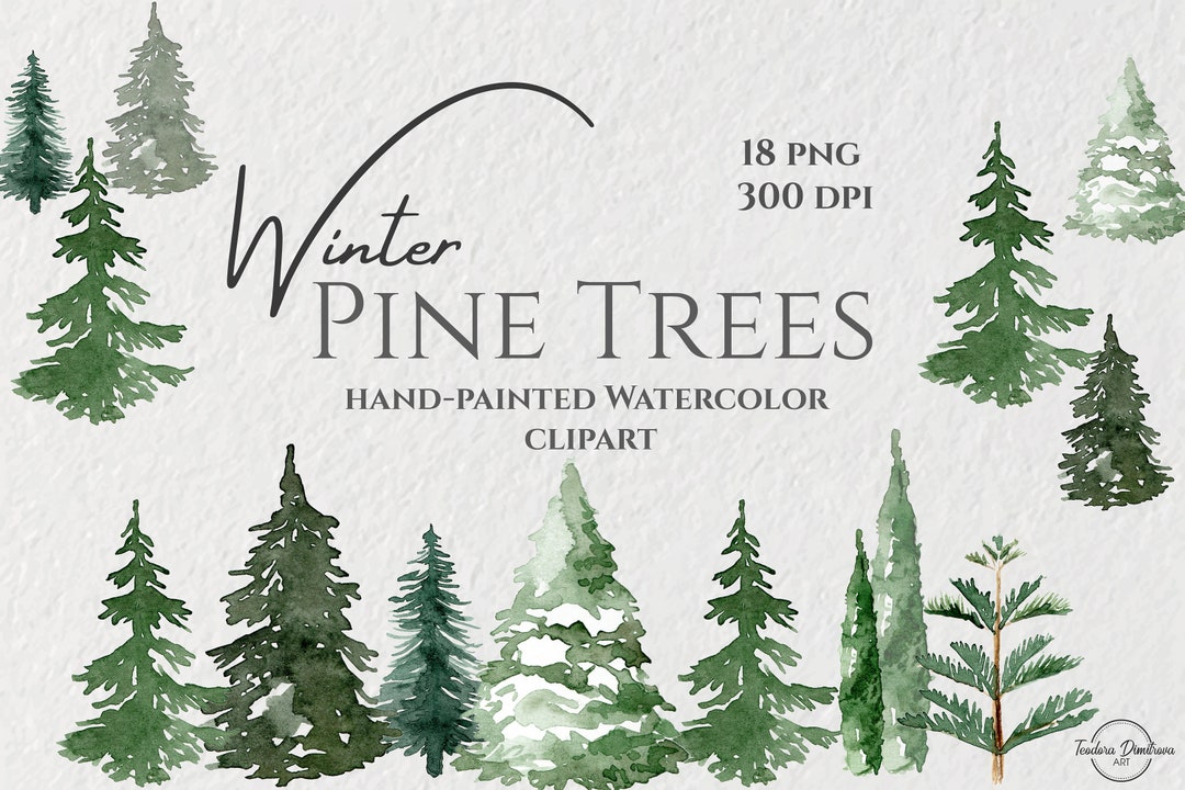 Winter Trees Watercolor Clipart | Christmas Clipart PNG | PINE TREES ...