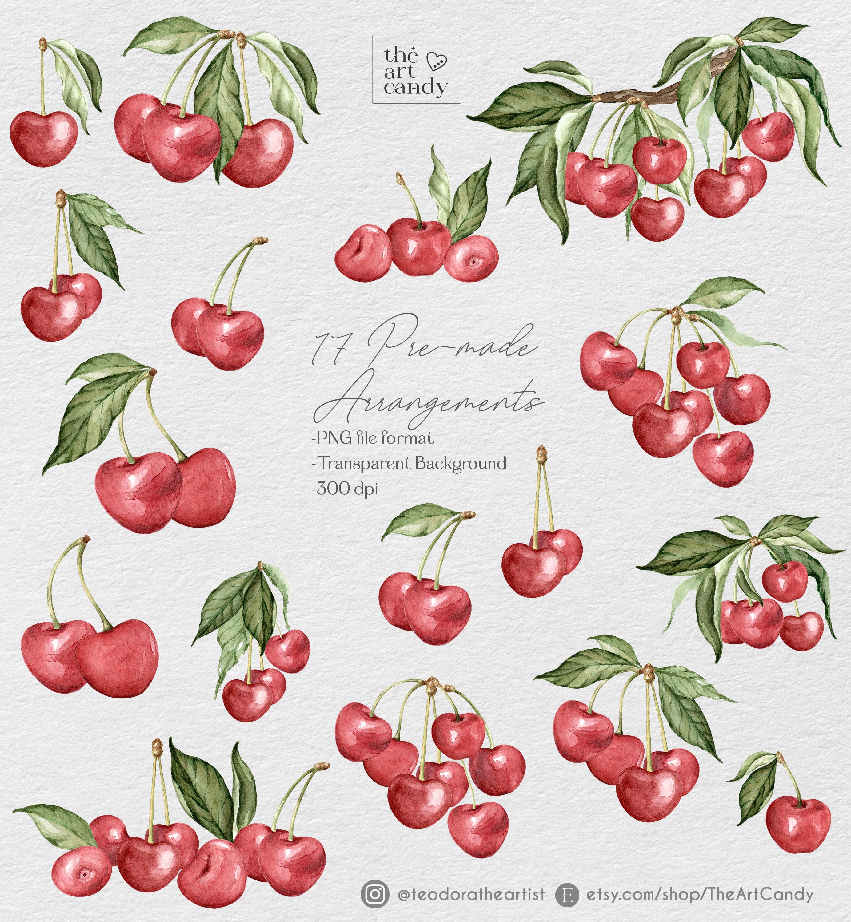 Hand Painted Cherry Watercolor Clipart Set | Hand Drawn Watercolor ...