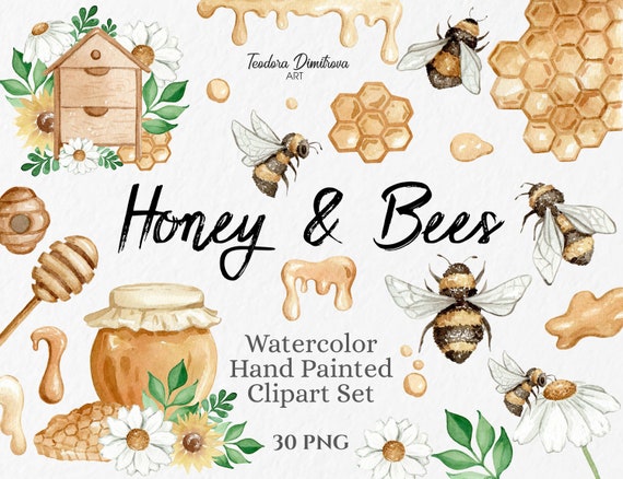 Watercolor Honey Bee Clipart PNG Hand Painted Watercolor - Etsy