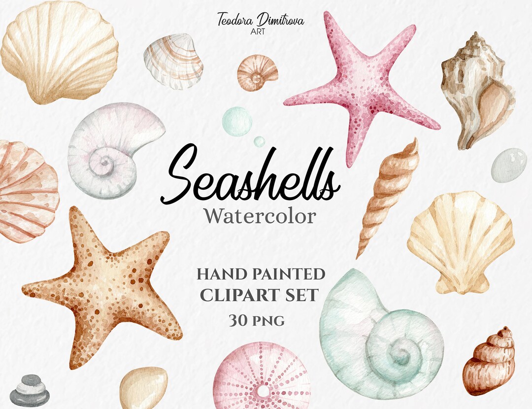 Watercolor Tropical Clipart Seashells PNG | Hand Painted Clipart Under ...