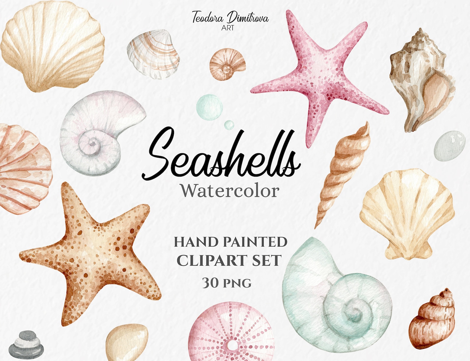 Aquarell Tropische Clipart Muscheln PNG | Handgemalte Clipart Unter dem ...