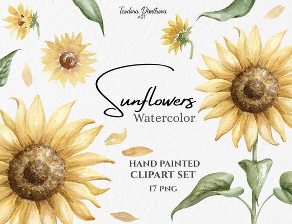 Watercolor Clipart Sunflower PNG Hand Painted Clipart - Etsy